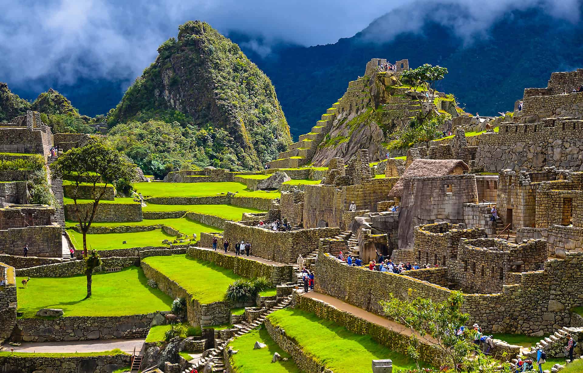 Visiter le Machu Picchu : toutes les informations à connaître